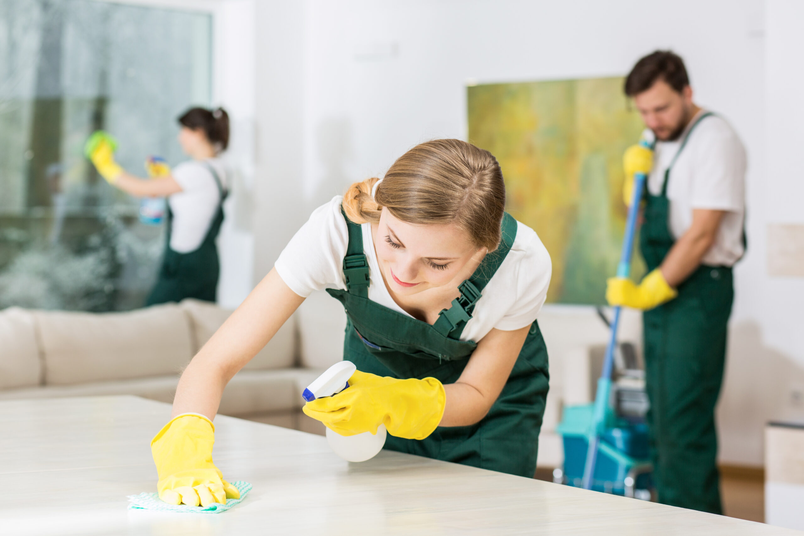 Best 7 Steps Quick Guide To Get You Home Cleaned